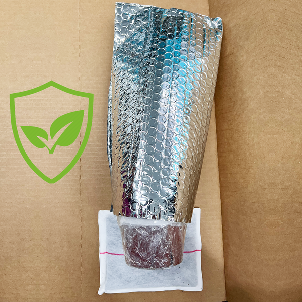 Winter Shipping Insurance :: Heat Pack & Insulation Add – Coollective ...